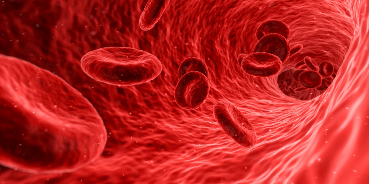 10 Foods for Better Blood Circulation – Diet gun